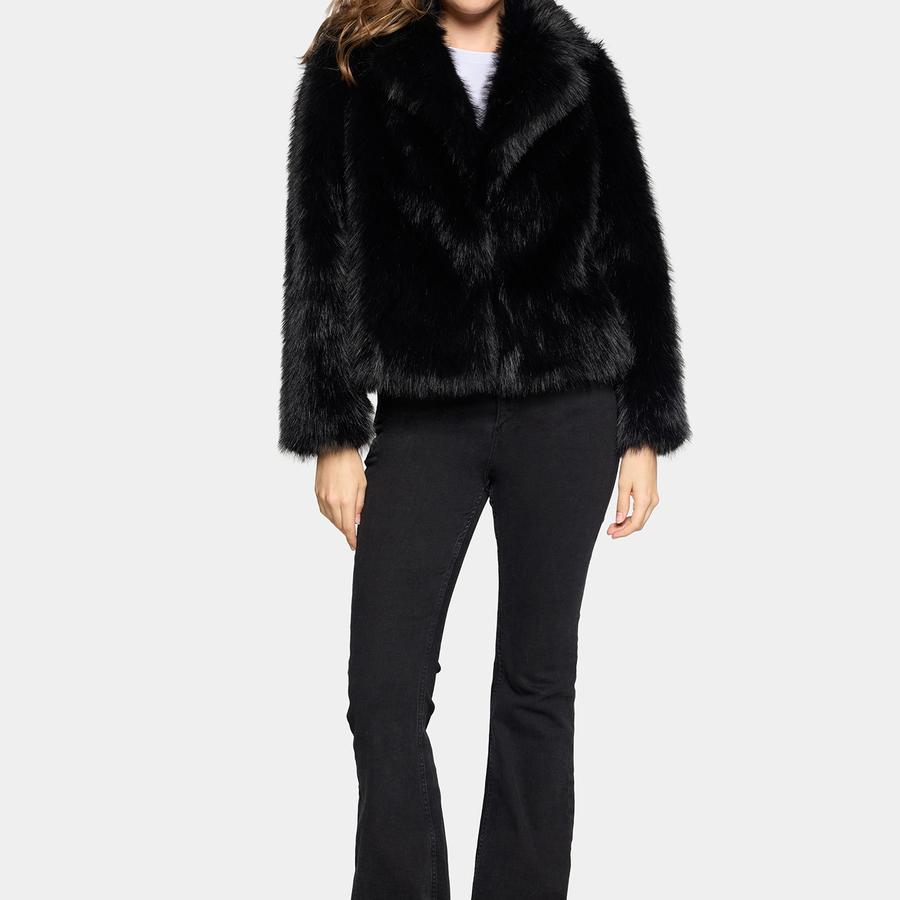 Duffy Jacket | ROCKANDBLUE | ROCKANDBLUE